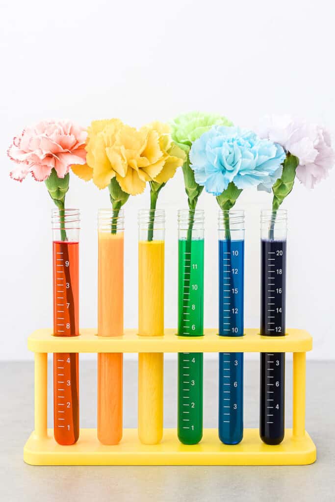 27 Fun Spring Activities for Kids That'll Last Them Hours