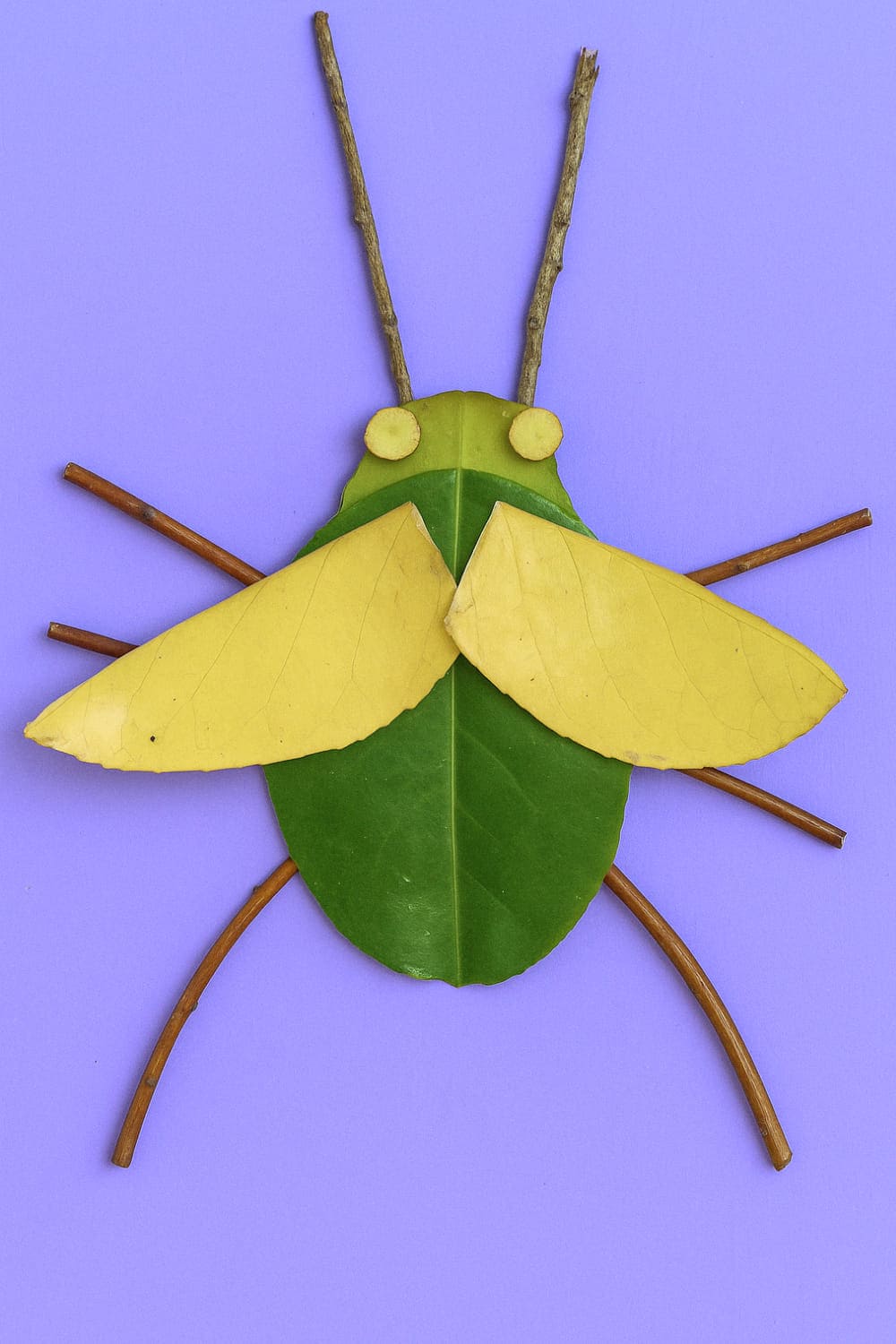 31 Nature-Inspired Summer Activities for Kids That Are Actually Fun