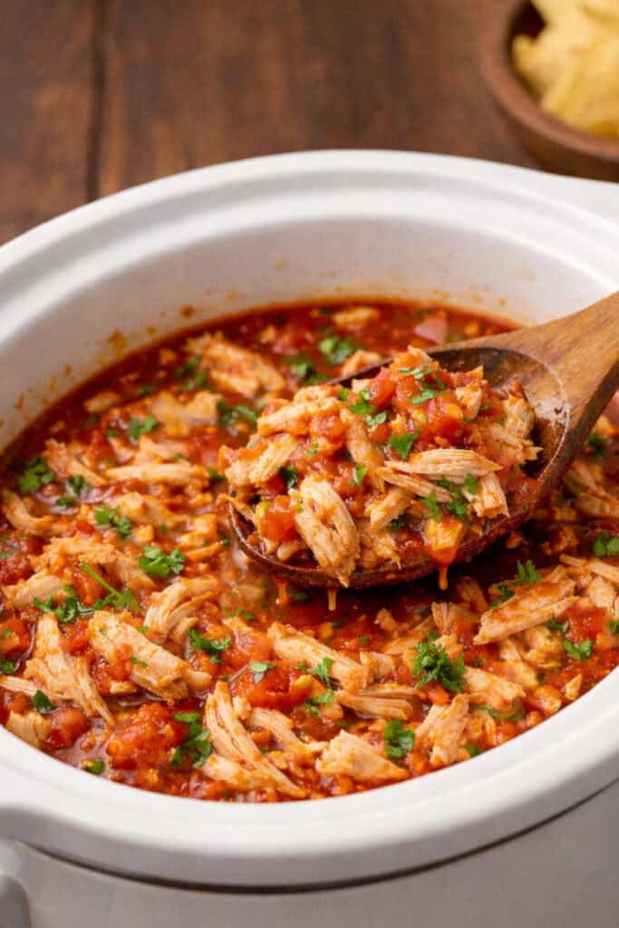 10 Tasty Spring Crockpot Meals (Dump and Go)